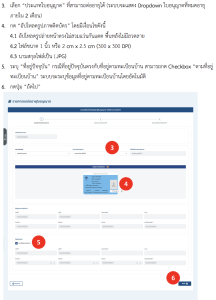 คู่มือขอรับ-ขอต่อใบอนุญาตผ่านระบบ e-Licensing สำนักงานคปภ. - TII สถาบันประกันภัยไทย